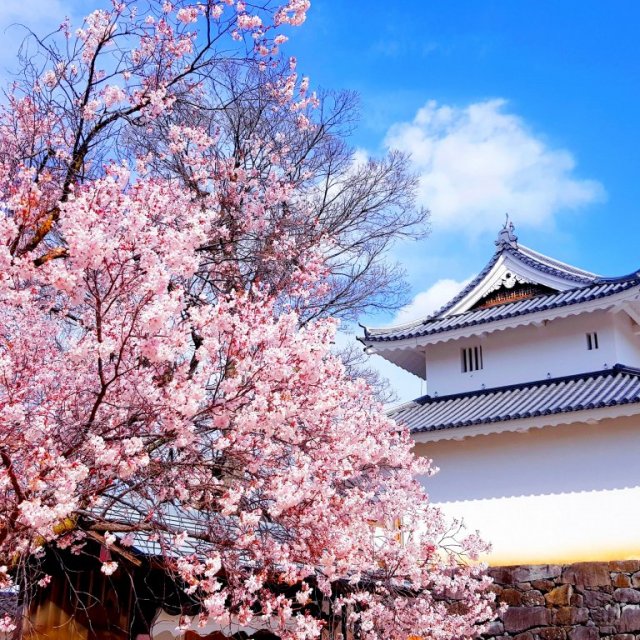 Find things to do in Kofu｜Visit Kofu - Official Tourism Website for ...